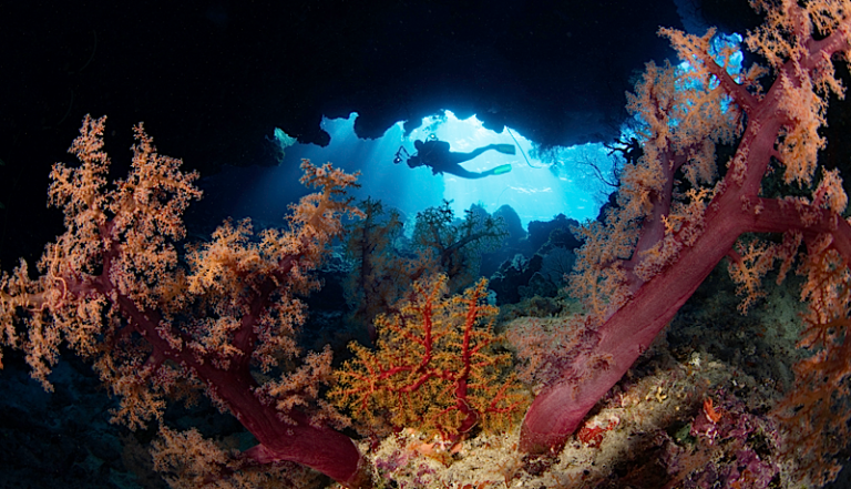 Home - Stephen Frink