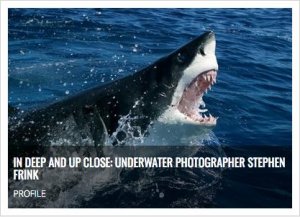 Home - Stephen Frink